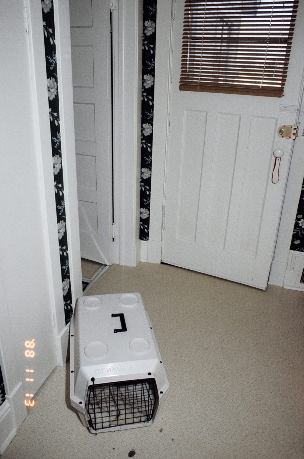 'Give this family closure': Police still working to solve 30-year-old ...