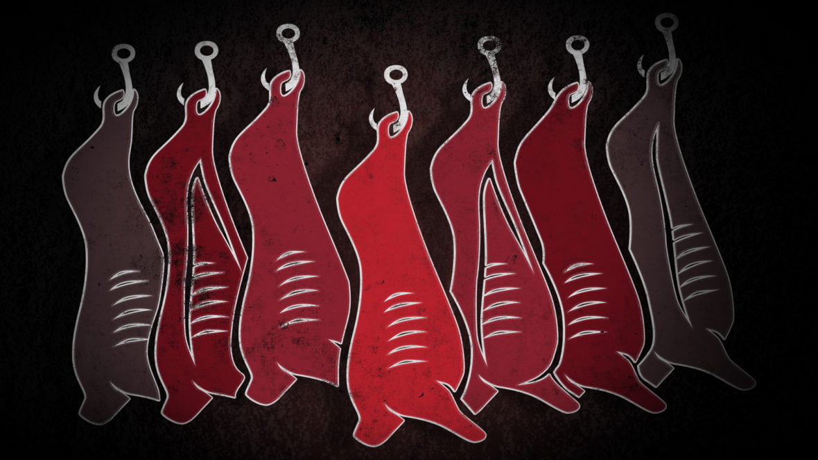 The human machine | CBC News