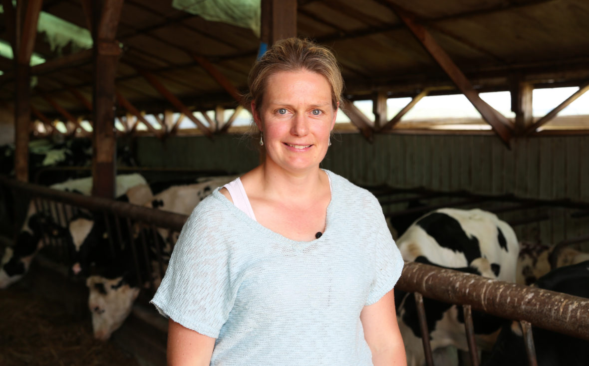 From plate to farm | CBC News