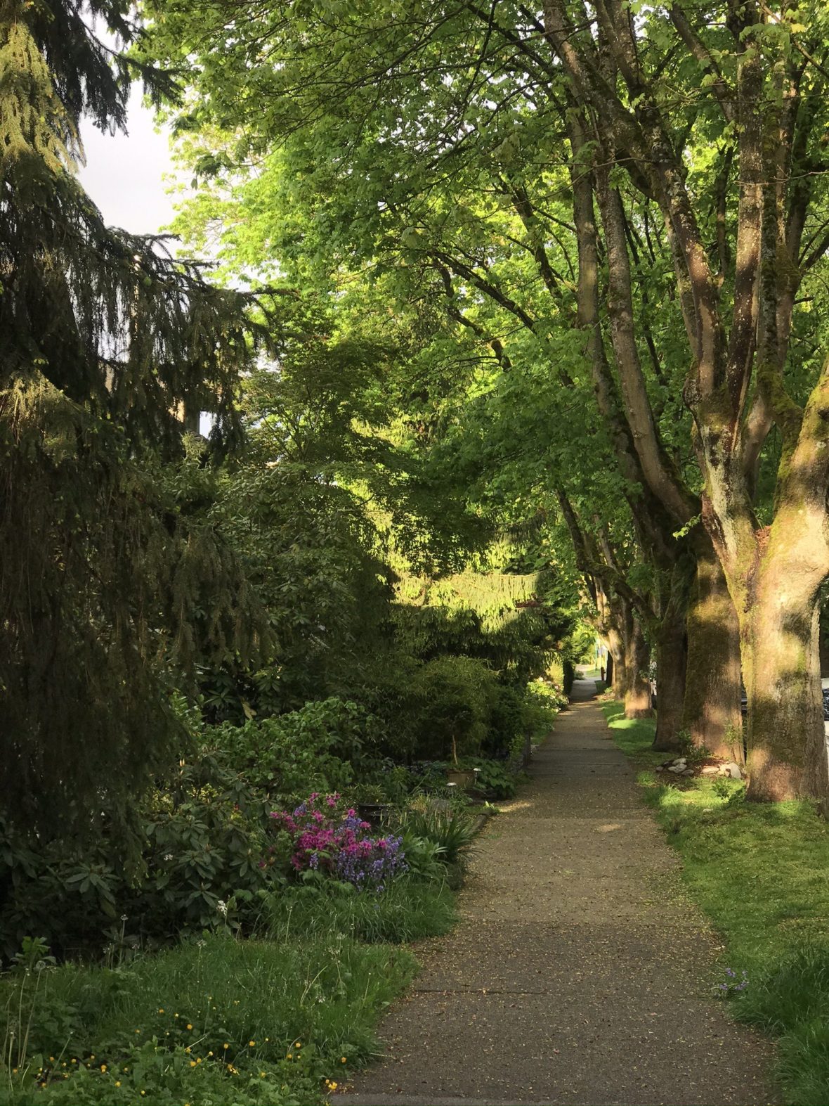 Living through a pandemic, alone | CBC News