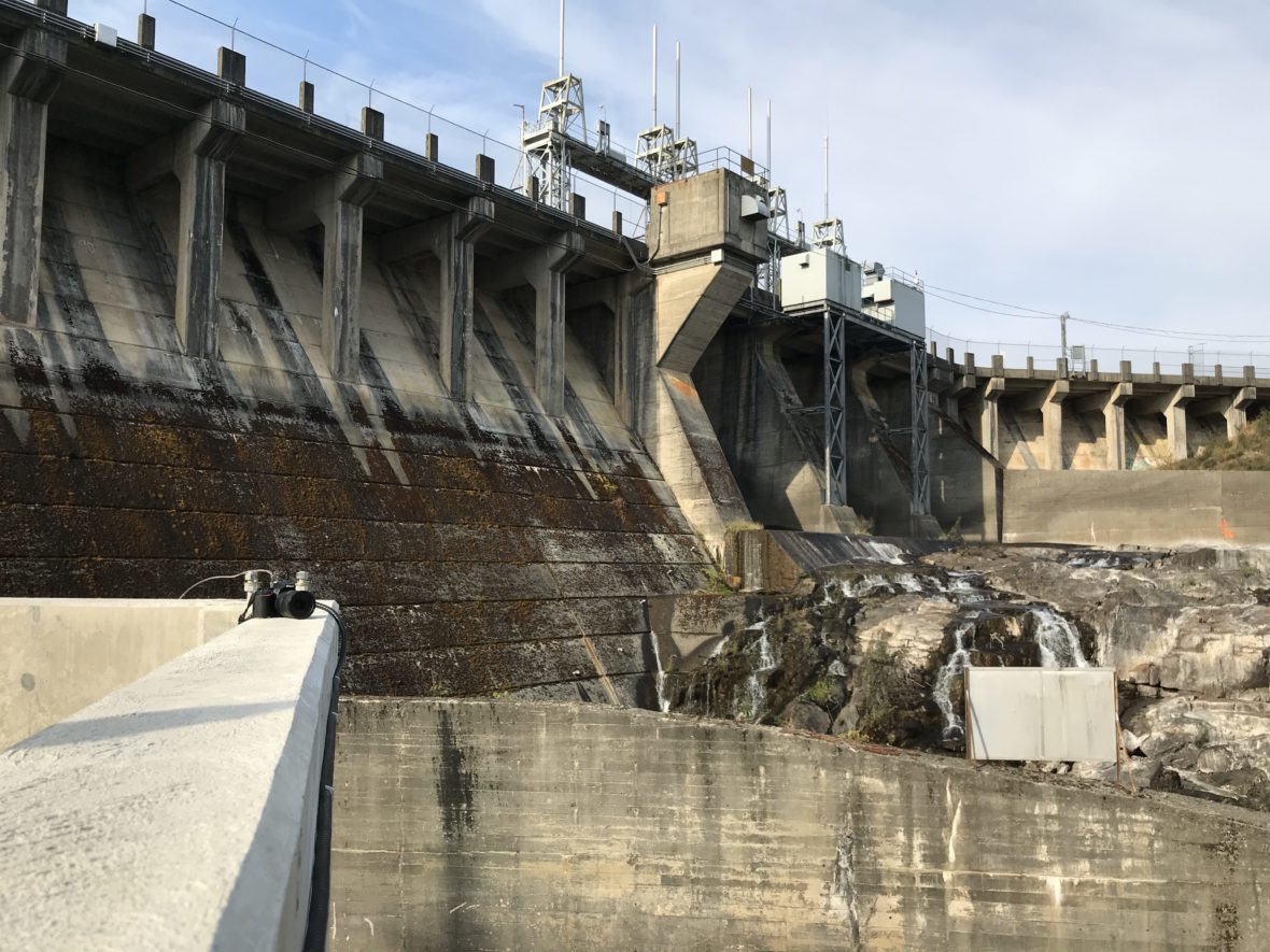 New generation: | CBC News