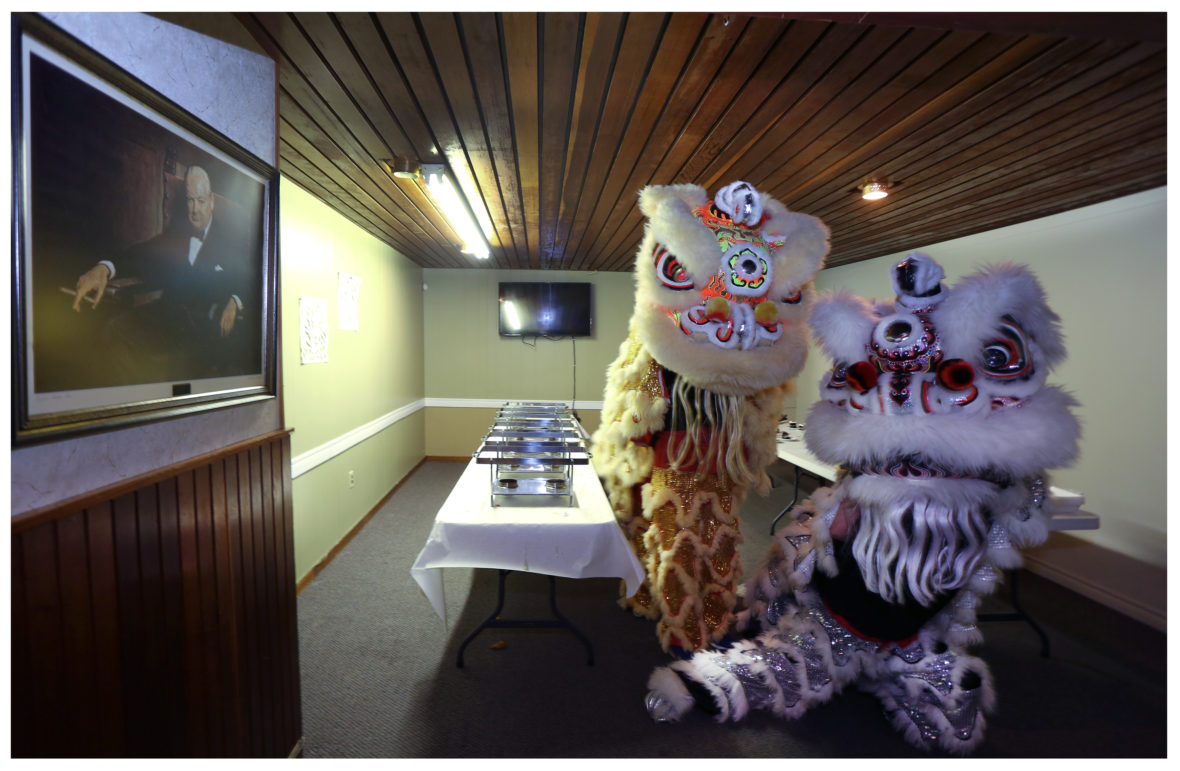 A feast for the eyes | CBC News