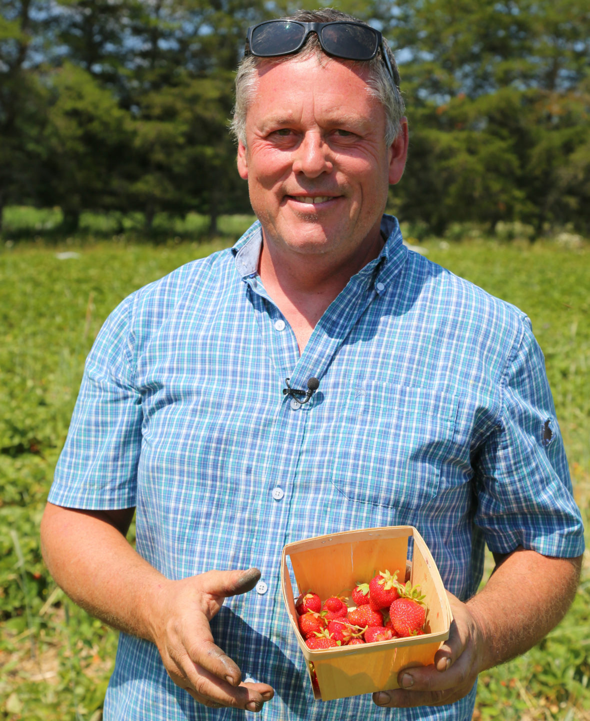 From plate to farm | CBC News
