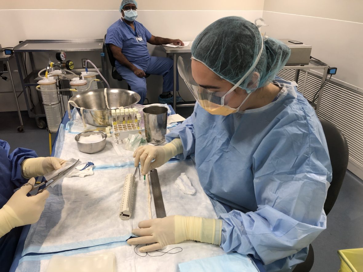 One person dies, another lives | CBC News