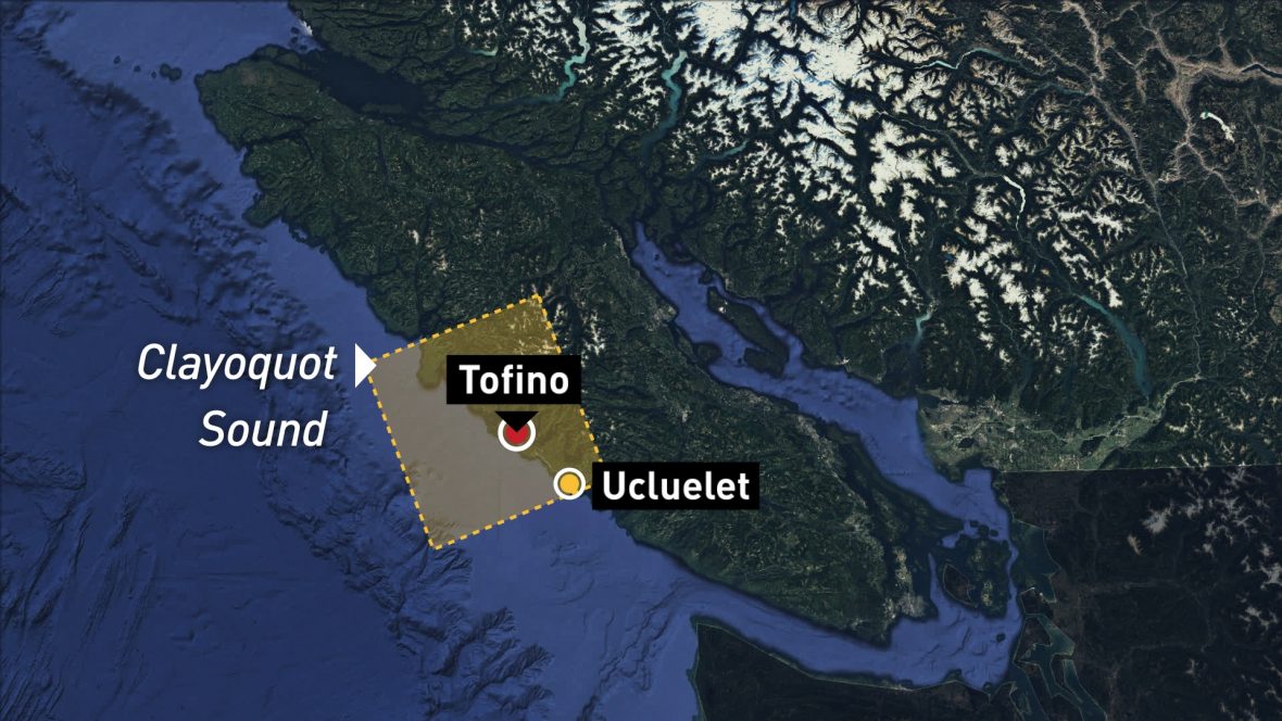 'A Perfect storm': | CBC News