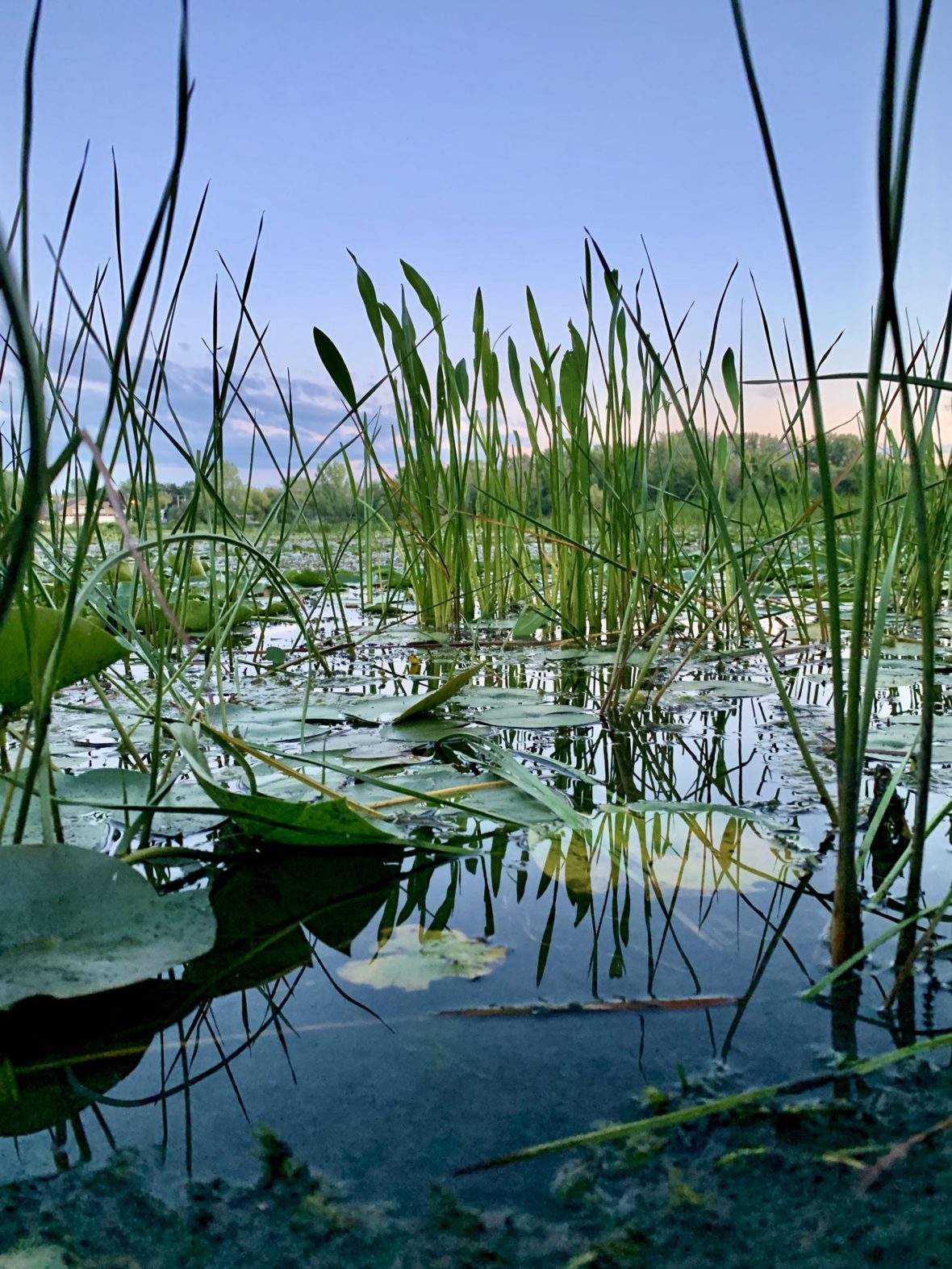By the rapids | CBC News