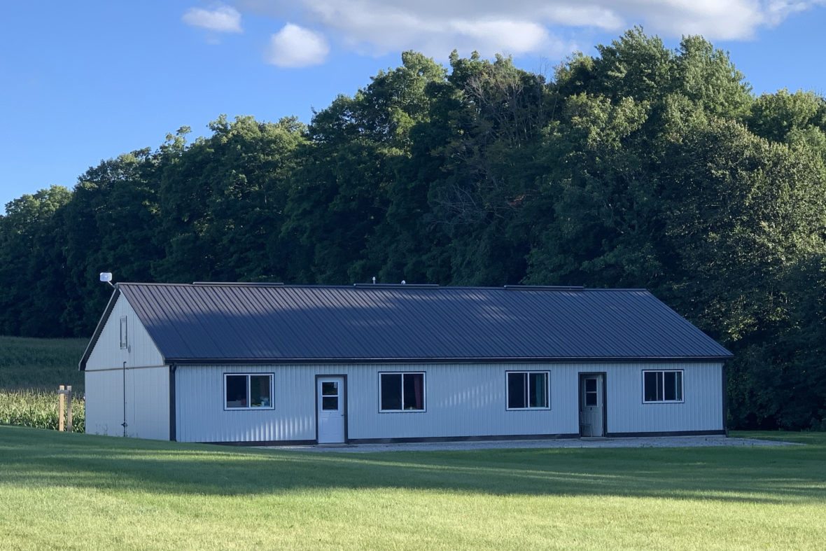 Bitter harvest | CBC News