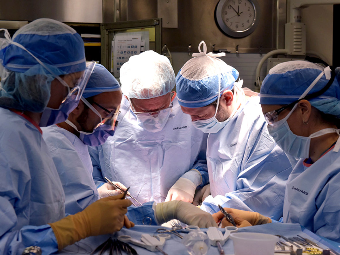 The face of a stranger | CBC News