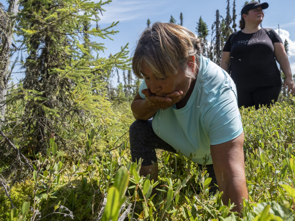 Muskeg under threat | CBC News