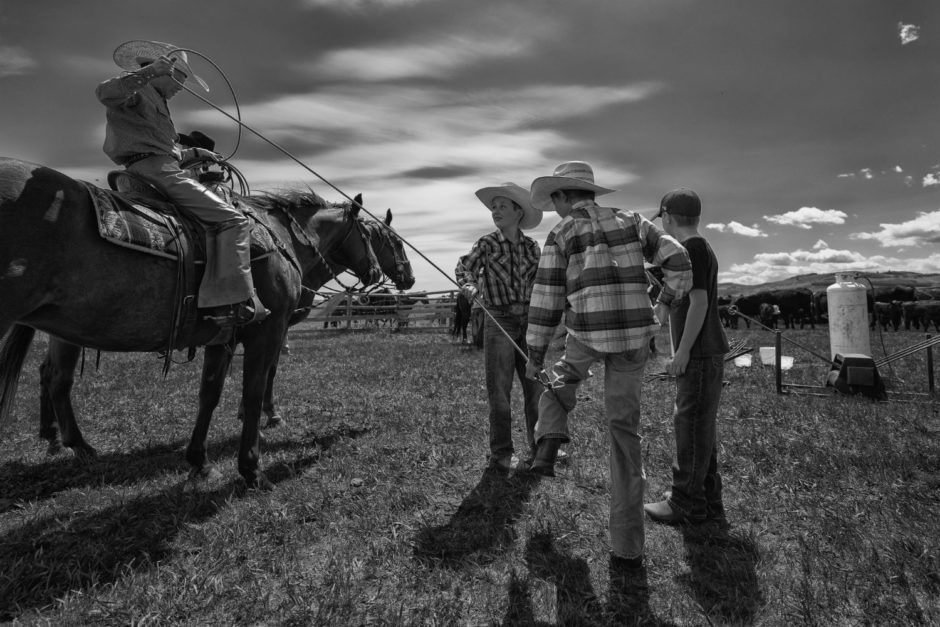 A century of branding at the Bar S Ranch | CBC News