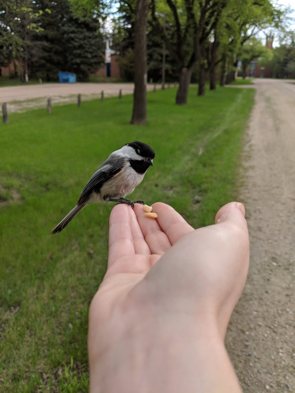 The Monks of Muenster | CBC News