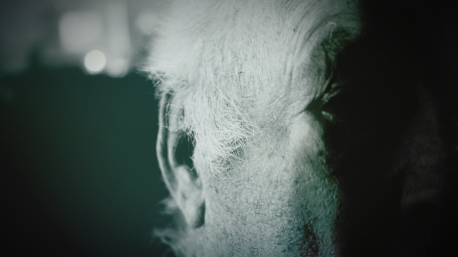 Damning decision | CBC News