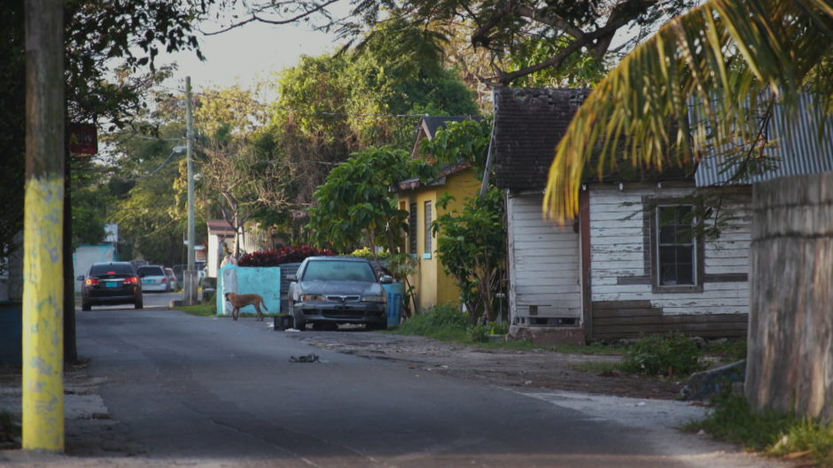 Evil in paradise | CBC News