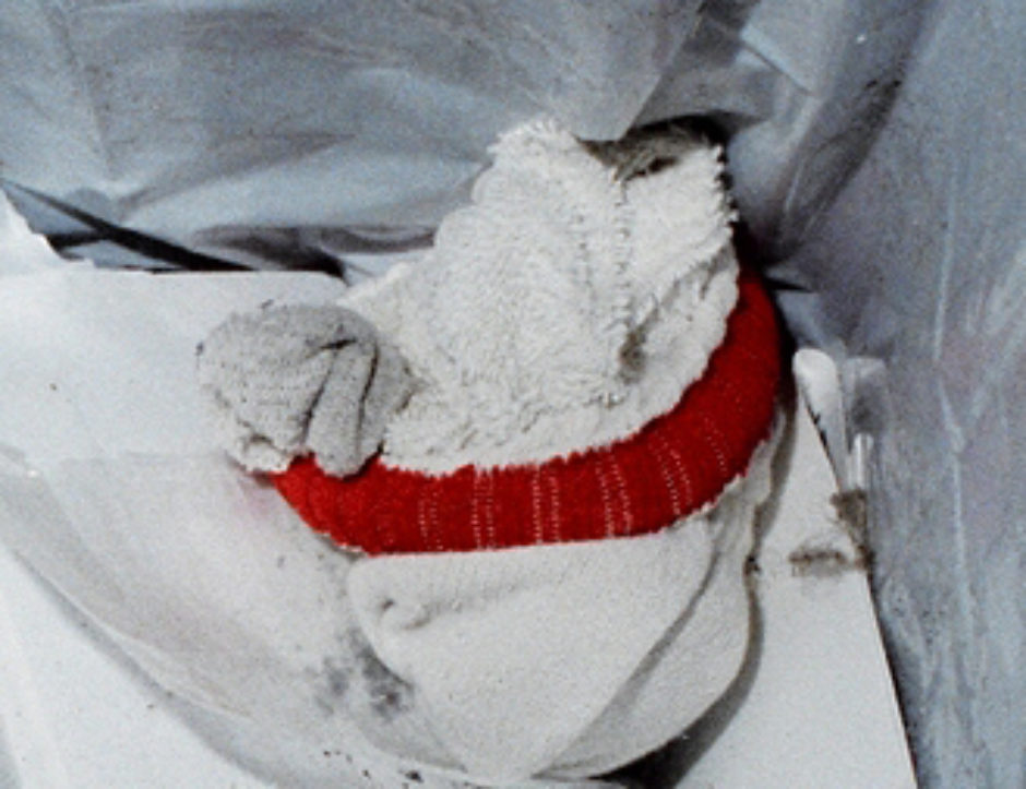 'Give this family closure': Police still working to solve 30-year-old ...