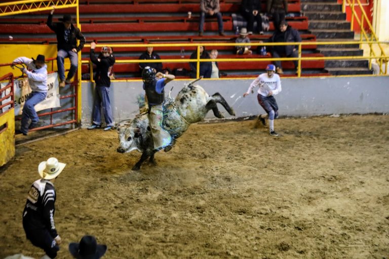 The 8-second lesson | CBC News