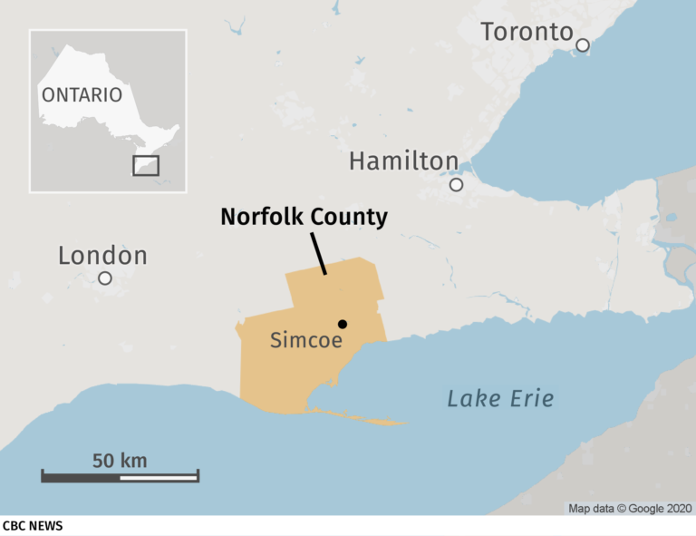 Bitter harvest | CBC News