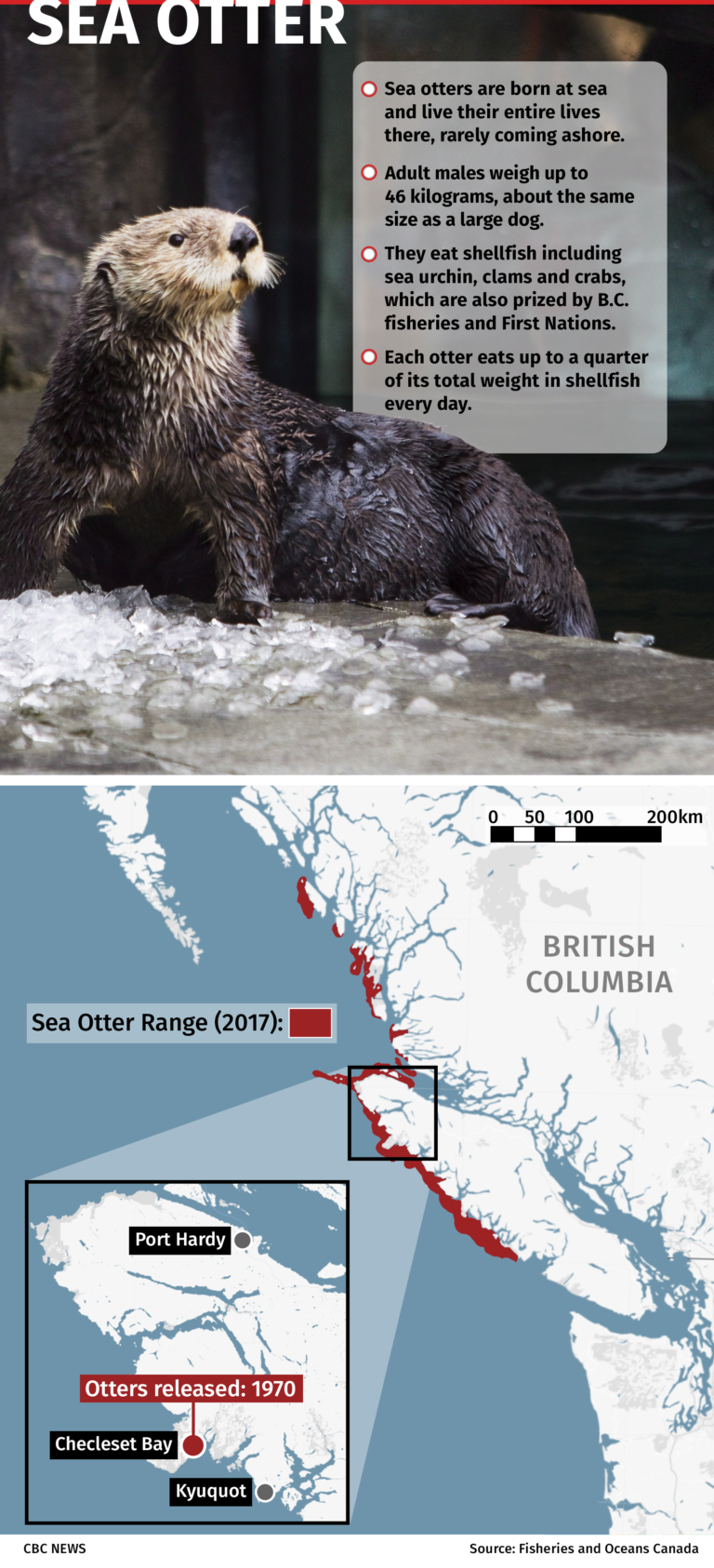 To oblivion and back | CBC News