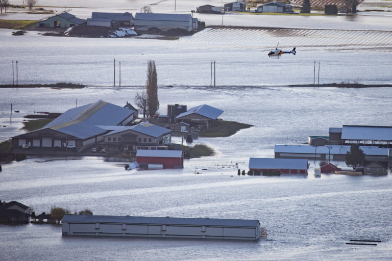 In a single week | CBC News