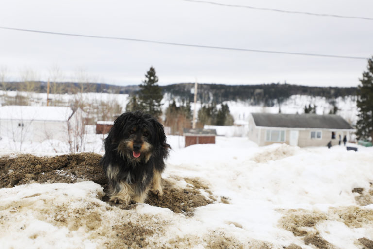 Reporter's Notebook: Reflecting on Stanley Mission | CBC News