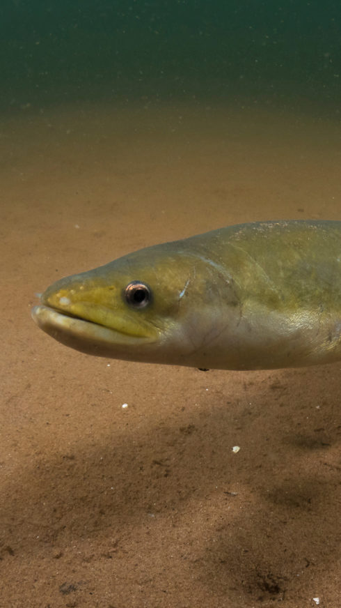 The weird and wonderful at Pogey Beach | CBC News