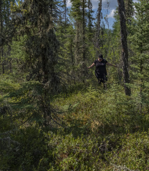 Muskeg under threat | CBC News