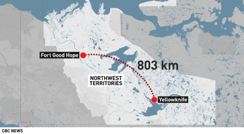 One log at a time | CBC News