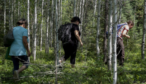 Muskeg under threat | CBC News
