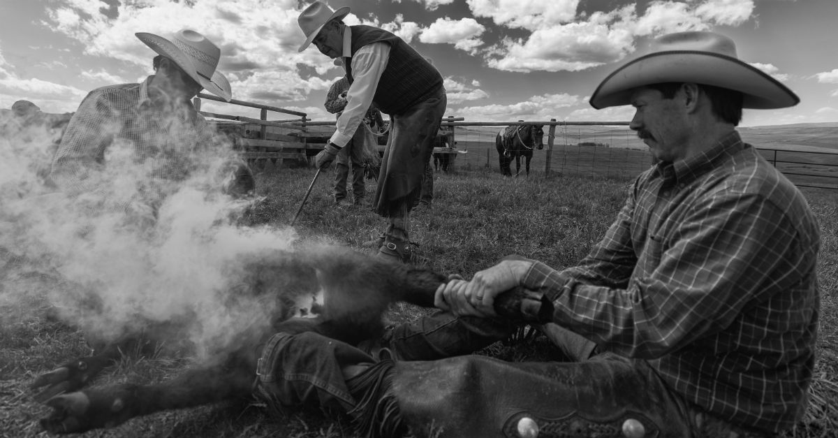 A century of branding at the Bar S Ranch | CBC News